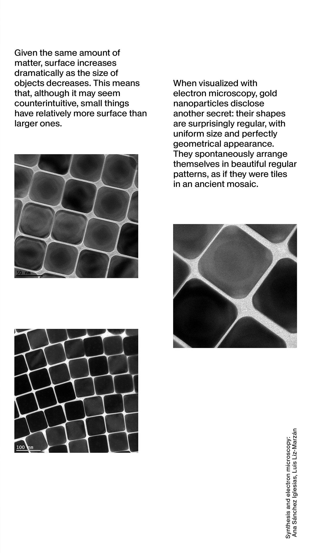 EL ORO: PURO VERSACE HASTA LA MÉDULA | Versace Puerto Rico