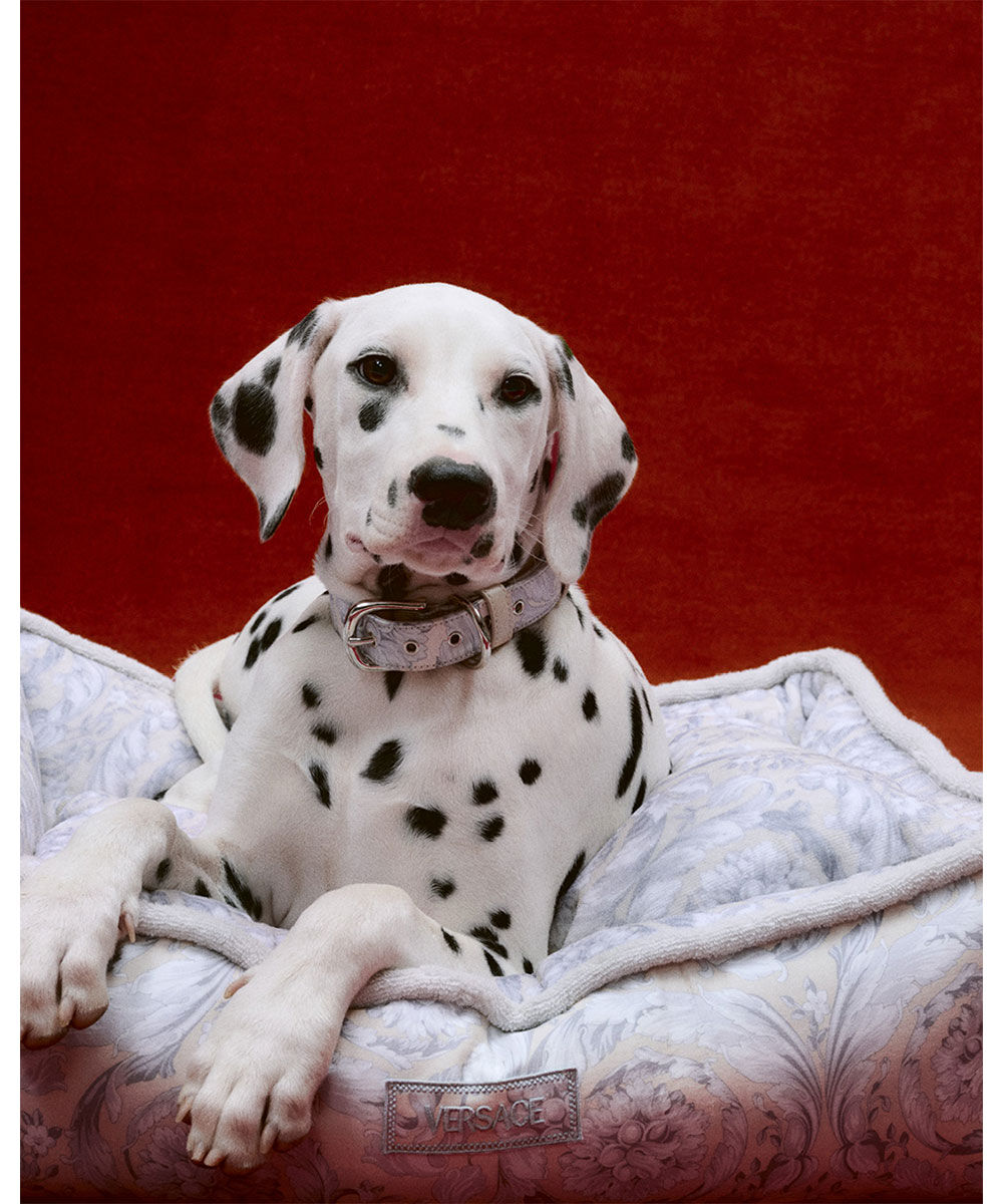 VERSACE MEXICO | High Fashion Designer Clothing & Accessories