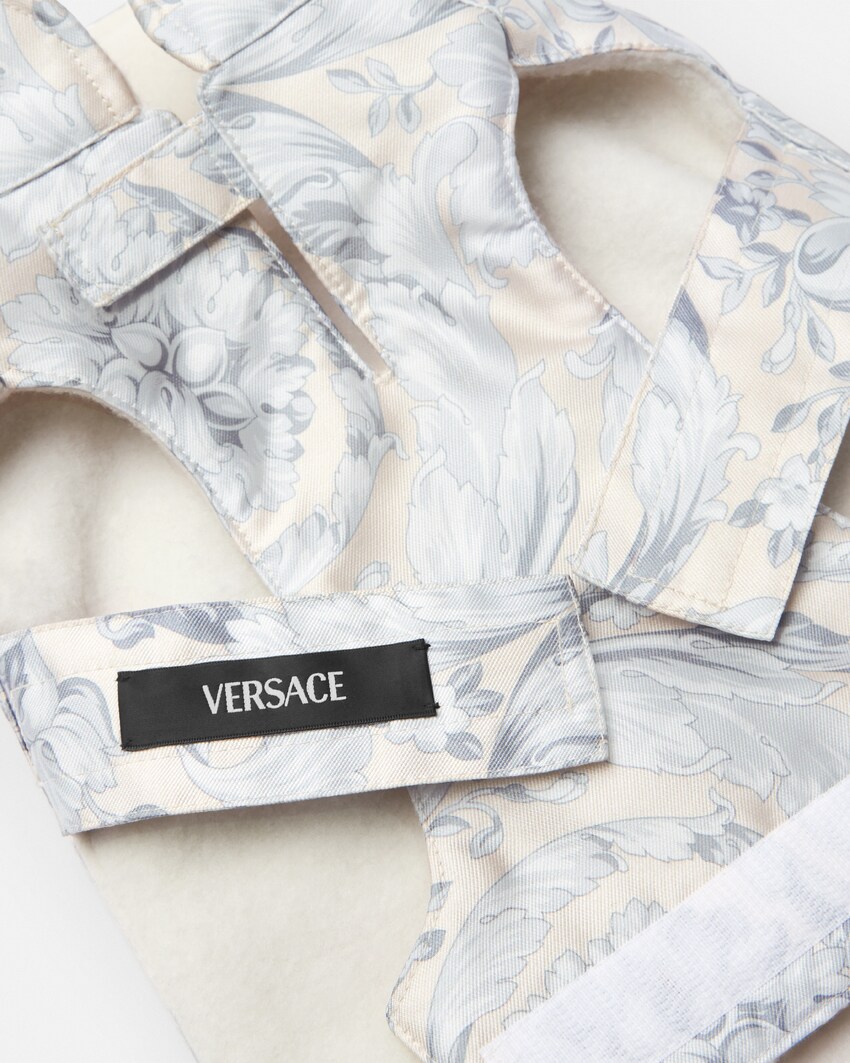 Barocco Dog Raincoat Print | VERSACE
